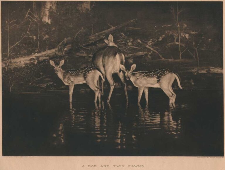 Scientific Photography | PhotoSeed